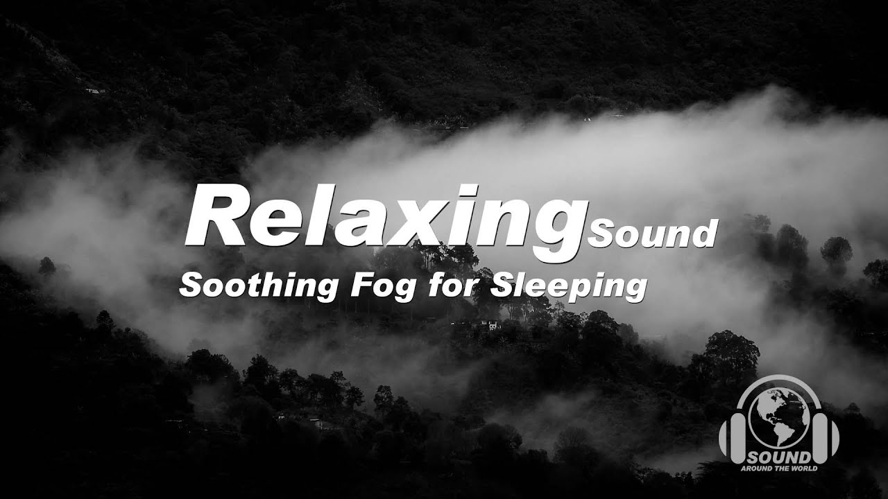 Relaxing Soothing Fog in the Forest Sound for Sleeping - YouTube