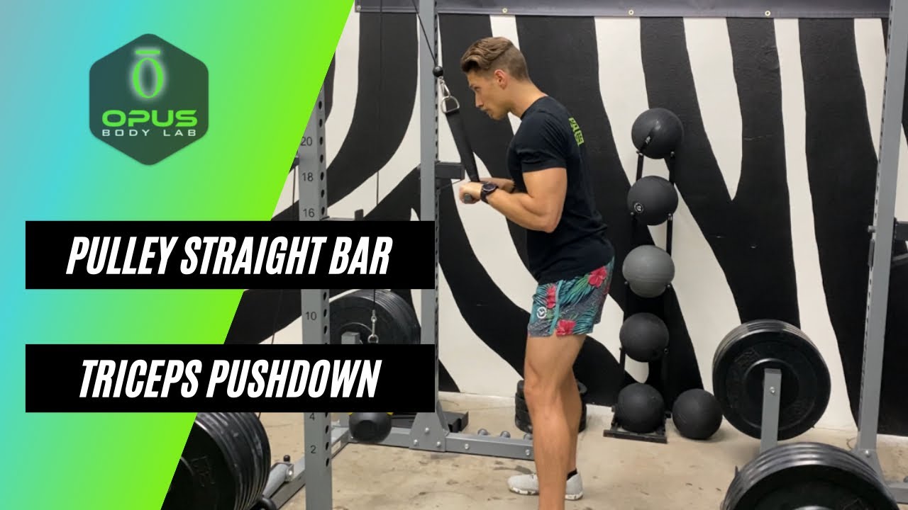 Pulley Straight Bar Triceps Pushdown - YouTube