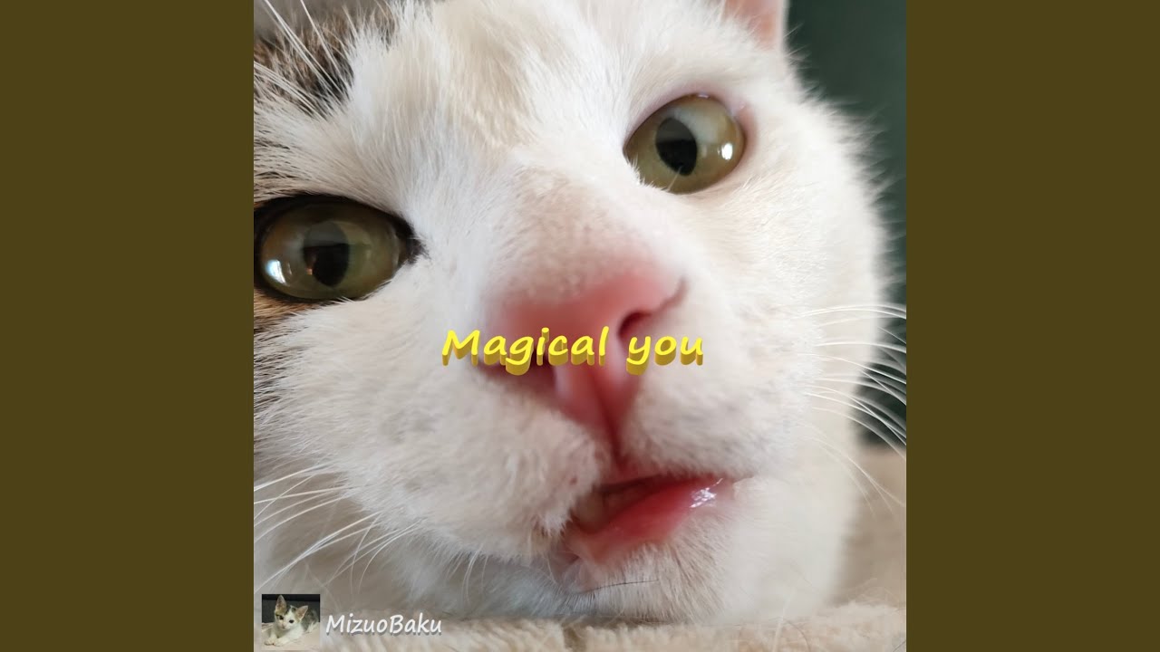 Magical you - YouTube