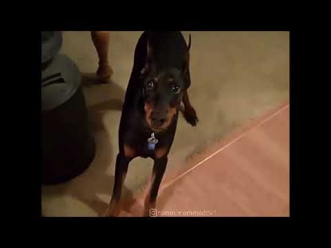 Oldum gulmeyden ★★★