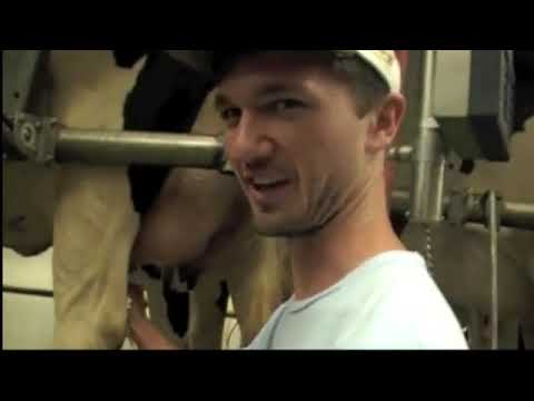 Dirty Jobs Aimee's Dairy - YouTube