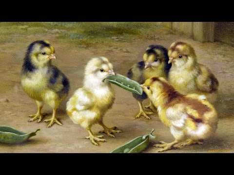 Сугра БАКИРЗАДЕ и ансамбль \