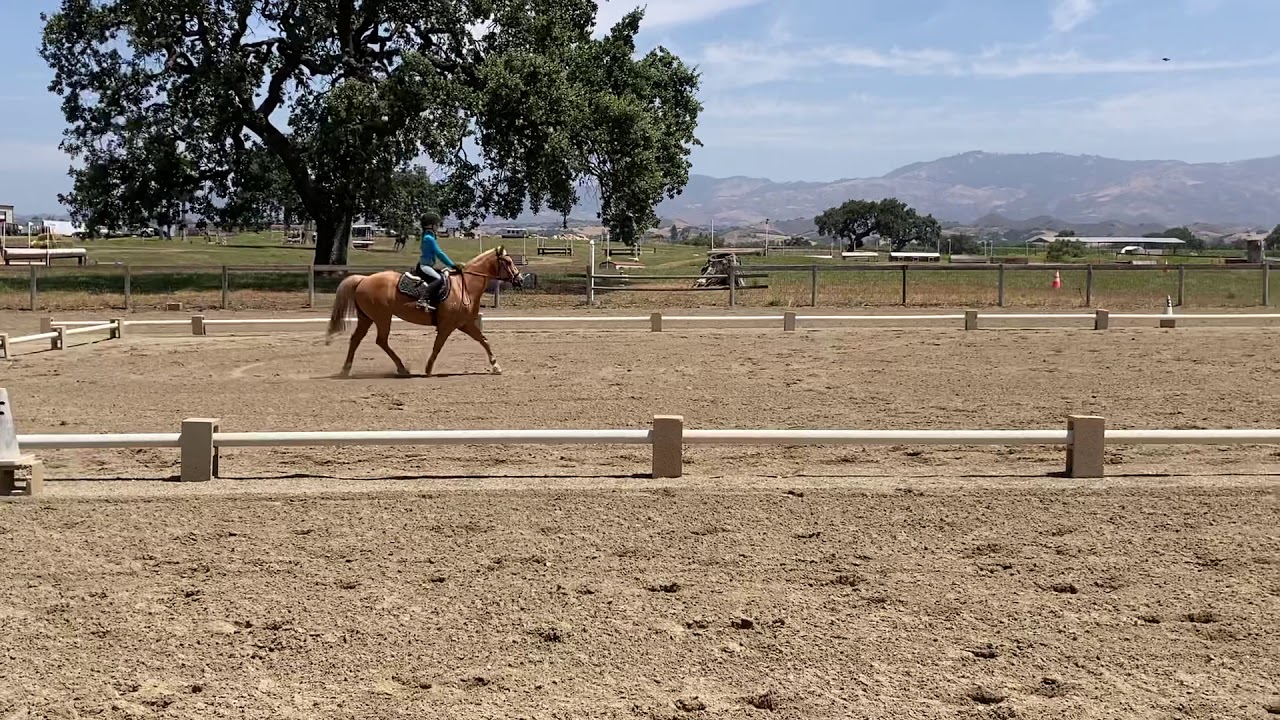 Beginner Novice A Dressage Fix-A-Test - YouTube