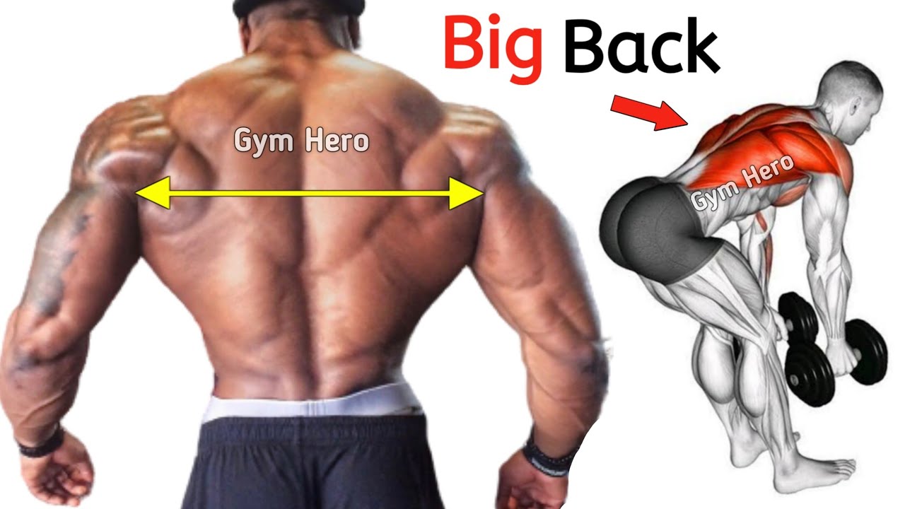 6 Exercises Big Back Workout For Mass - YouTube