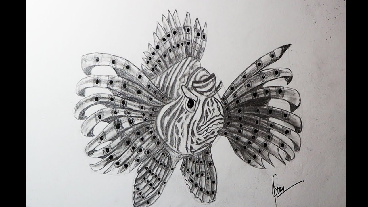 HOW TO MAKE LION FISH DRAWING | S CREATIVE ARTS | - YouTube
