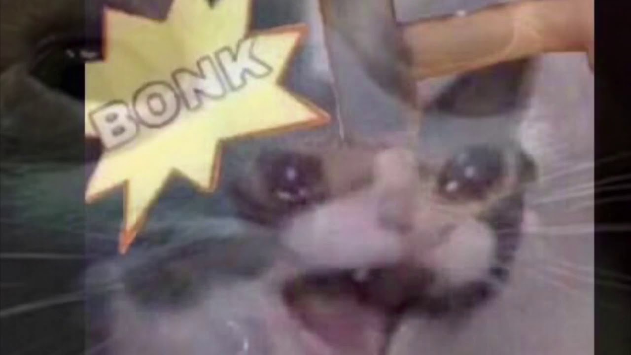 Cat go bonk - YouTube