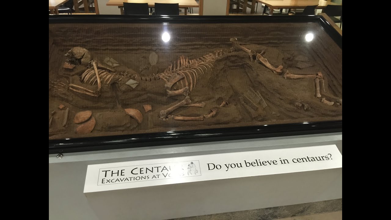 CENTAURS ARE REAL!?! - YouTube