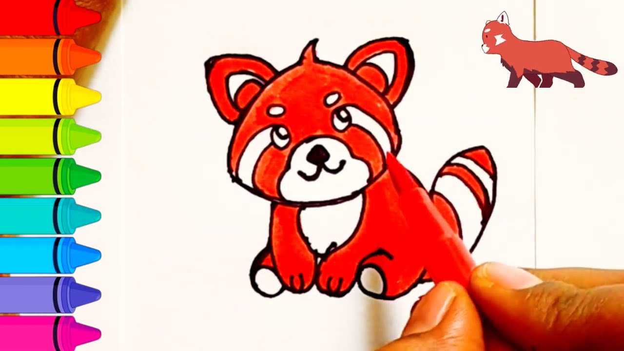 CUTE RED-PANDA🦝🦝easy Drawing /step by step /#redpanda#facts/FACTS ...