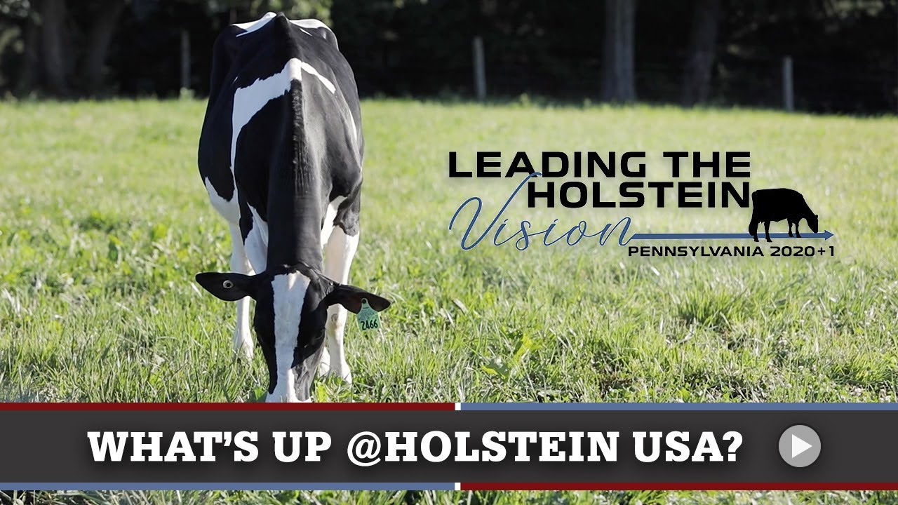 What's Up at Holstein USA: Leading the Holstein Vision - YouTube