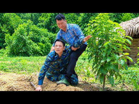 What happened to Ha Nam and Egan that drove them to such a state of desperation?