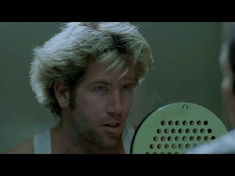 Night Zoo (1987), Gay Movie