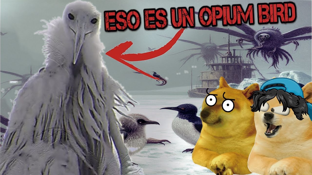 👹 LOS OPIUM BIRD, Las CRIATURAS de la ANTARTIDA por un NIÑO con DERECHO ...