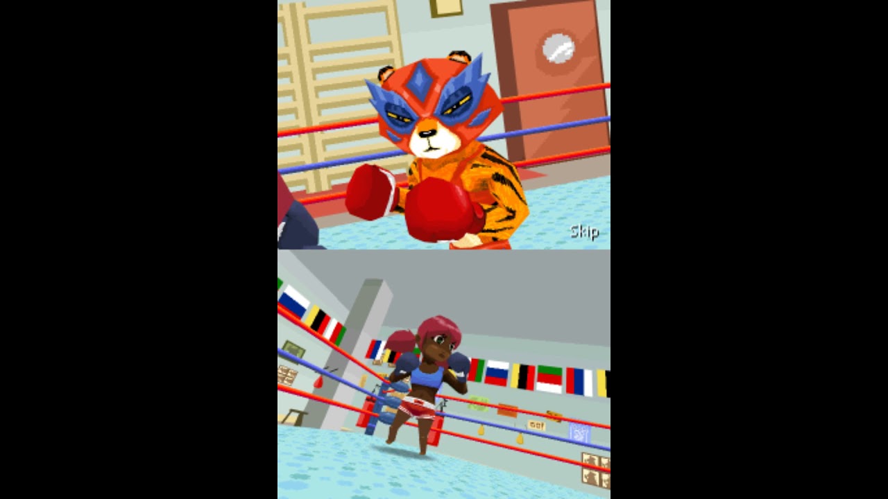 Animal Boxing vs Torami Request 6 - YouTube