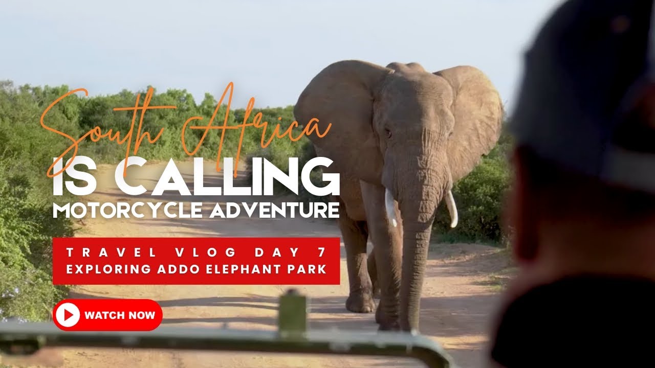 Motorcycle Ride to Addo Elephant Park 🐘 | South Africa is Calling ...