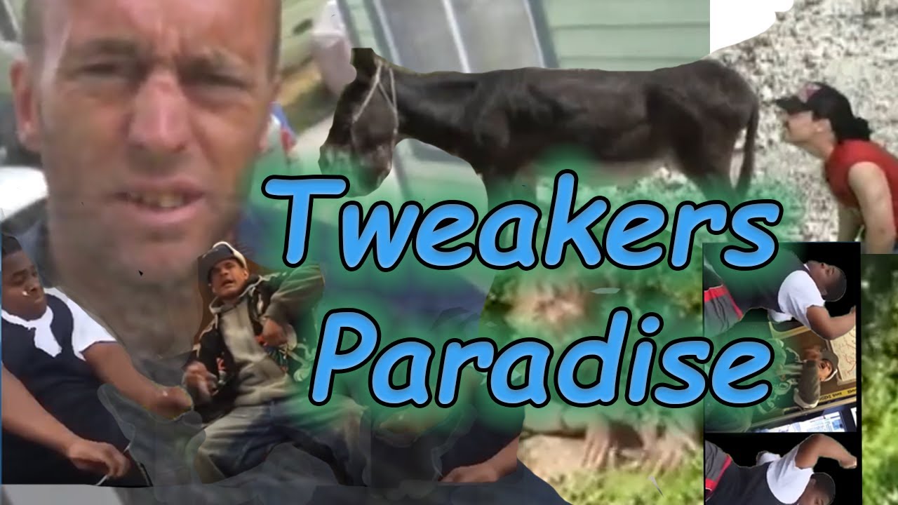 Tweakers Paradise - Best Of Tweakers 2021 Compilation Episode 1 - YouTube