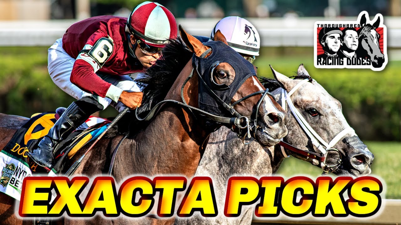 Haskell Stakes Exacta Picks & Plays | Monmouth Park 2024 - YouTube
