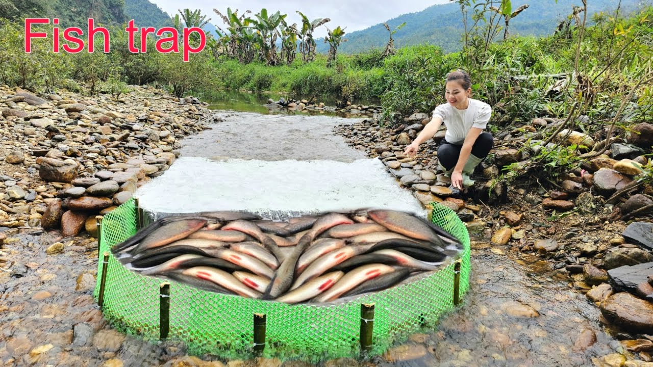 Ana's unique way of trapping fish. And unexpectedly caught a lot of big ...