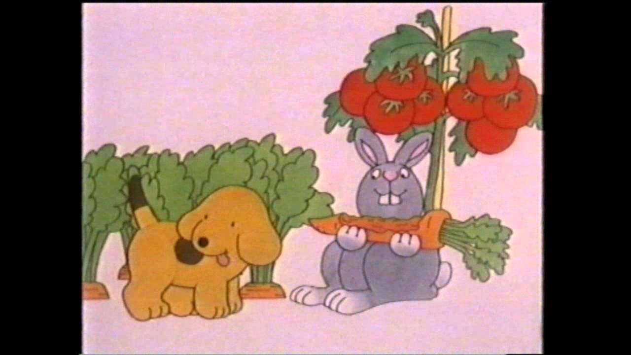 The Adventures of Spot - Spots First Walk - YouTube