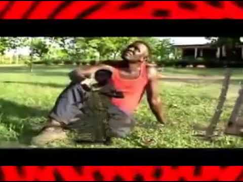 DD TIGER - Timanmi Ft Mr.Bons Official Music Video