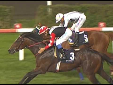 Sorulmamış Sorular (Halis Karataş 2. Bölüm)