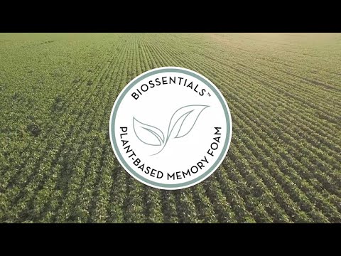 Biossentials™ Plant-Based Memory Foam - YouTube