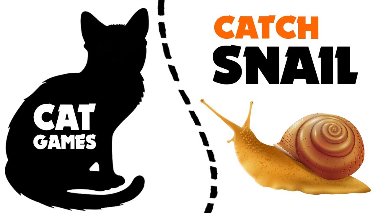 CAT GAMES ★ Catching SNAIL on screen - YouTube