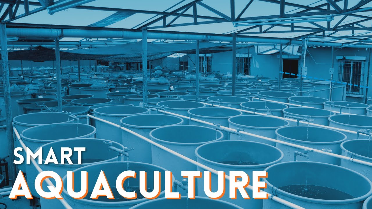 Smart Aquaculture: Saving Water & Maintaining a Constant Temperature ...