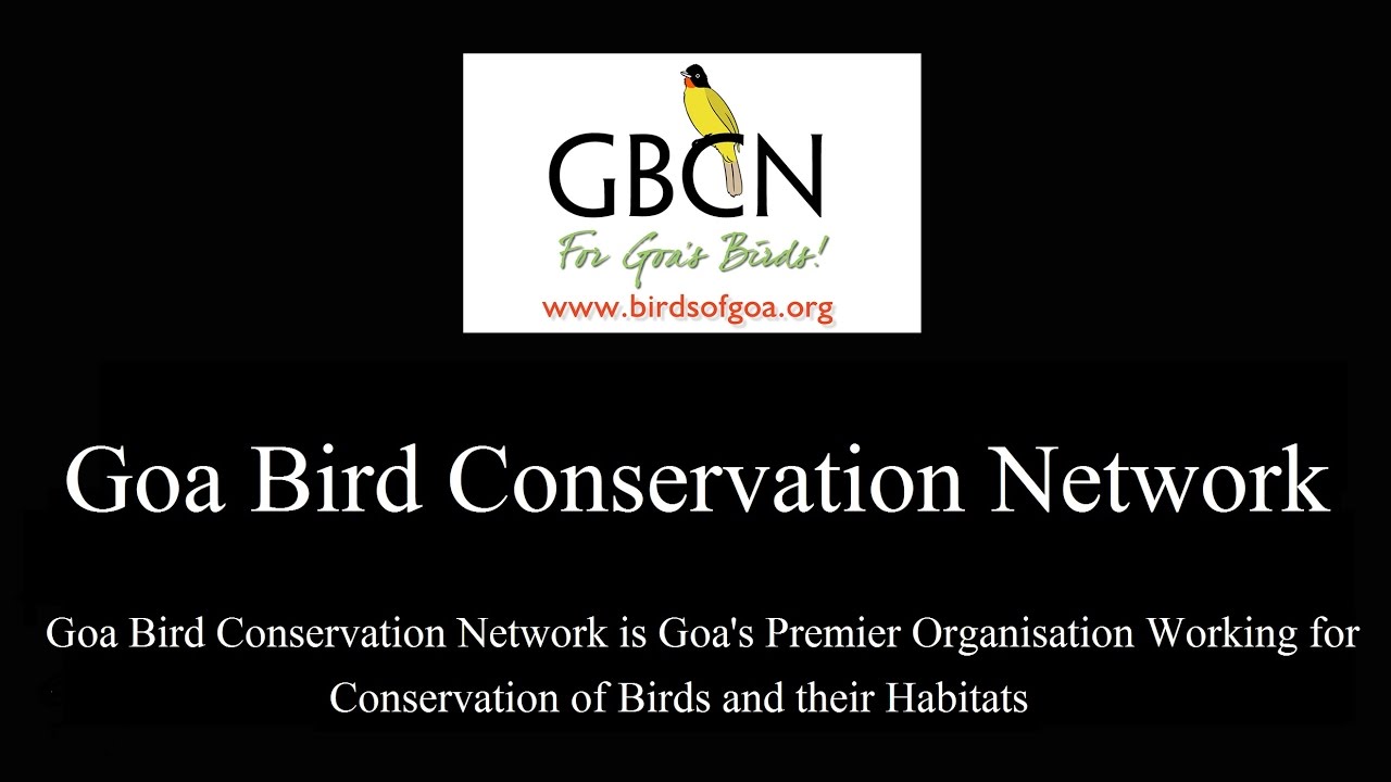 Life and Work of Carl D'Silva by Parag Rangnekar President Goa Bird Conservation Network - YouTube