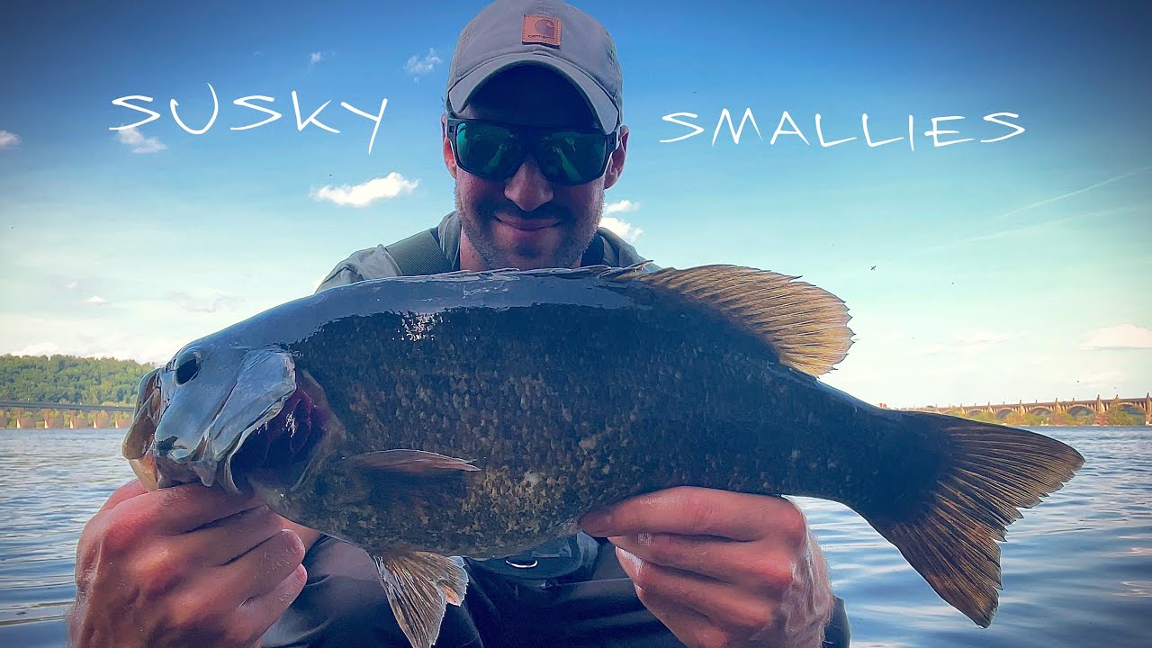 Susky Smallies | Fly Fishing the banks of the Susquehanna River - YouTube