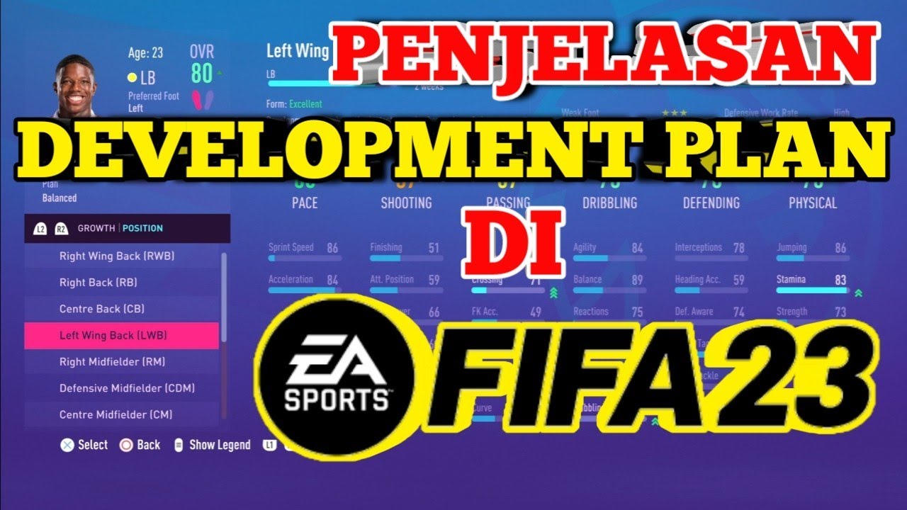 Penjelasan DEVELOPMENT PLAN di FIFA 23. Tutorial FIFA 23 - YouTube