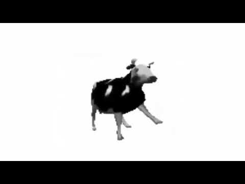 Dans Eden Polonyalı İnek