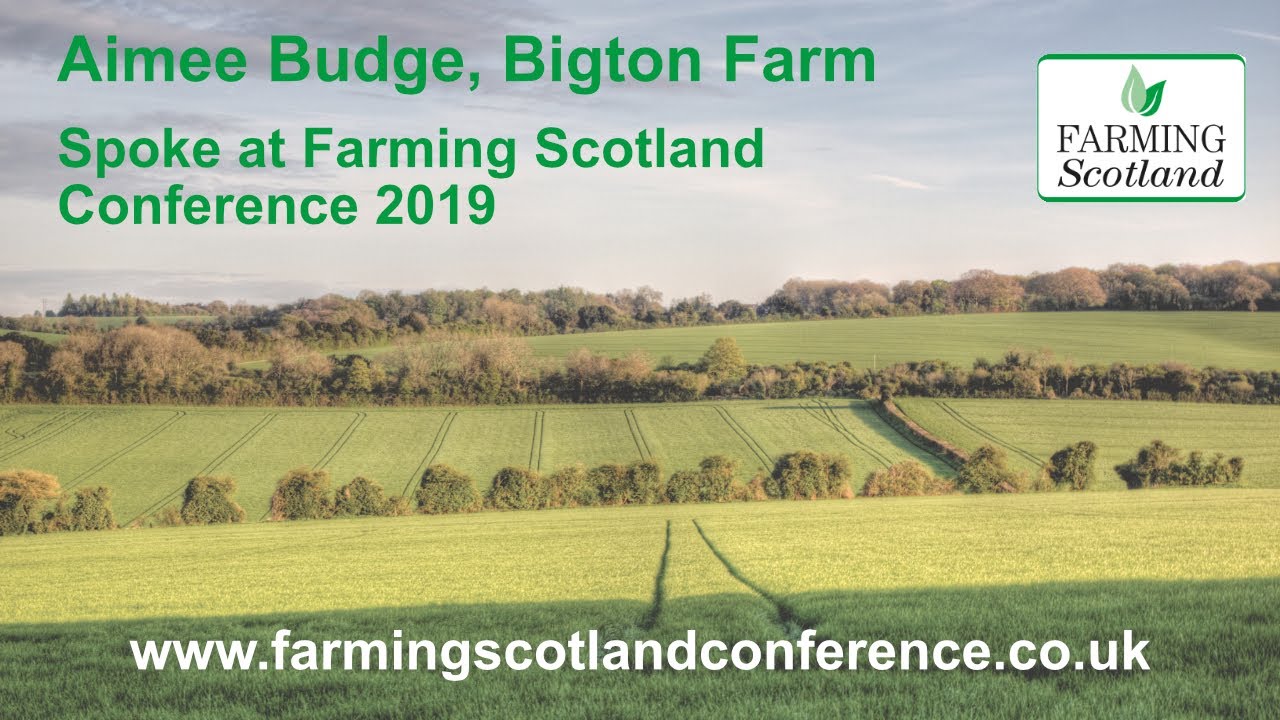 Aimee Budge - Bigton Farm, Shetland - YouTube