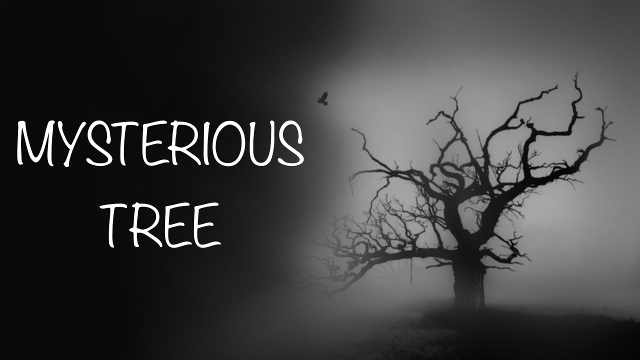 Mysterious murder: who is hidden in the tree? - YouTube