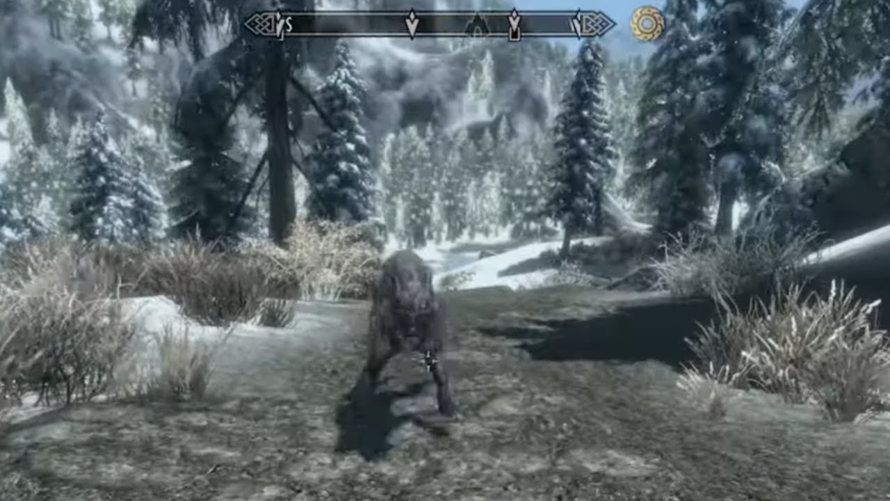 Necromage LVL 2 - RAW Skyrim - Survival Travel | Stillborn Cave ...