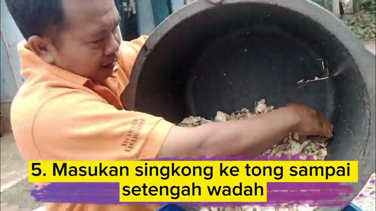 Cara Membuat Fermentasi Dari Singkong Untuk Pakan Kambing - YouTube