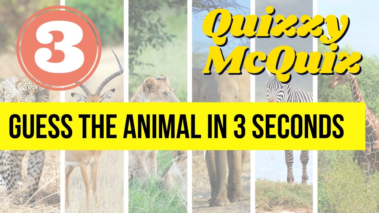 How many animals do you know? The ultimate animal quiz! - YouTube