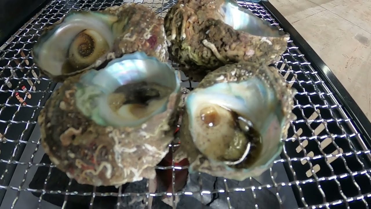 サザエを獲って焼いて食う Fresh Turban Shell Catch and Cook - YouTube