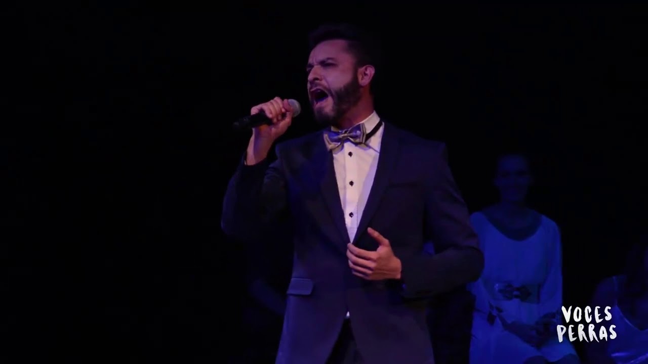 Hugo Serrano "Don't Forget me" de "SMASH". Concierto voces perras ...