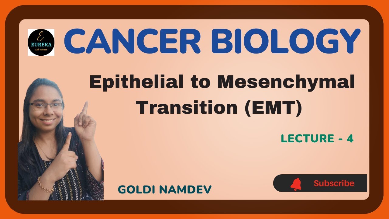 Epithelial to Mesenchymal Transition | EMT | Cancer biology | Eureka ...