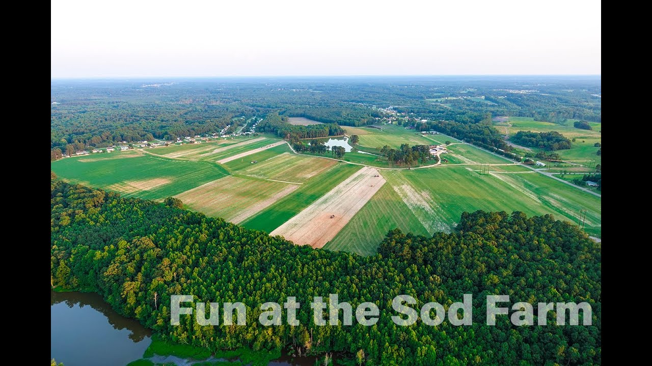 Fun at the Sod Farm - YouTube