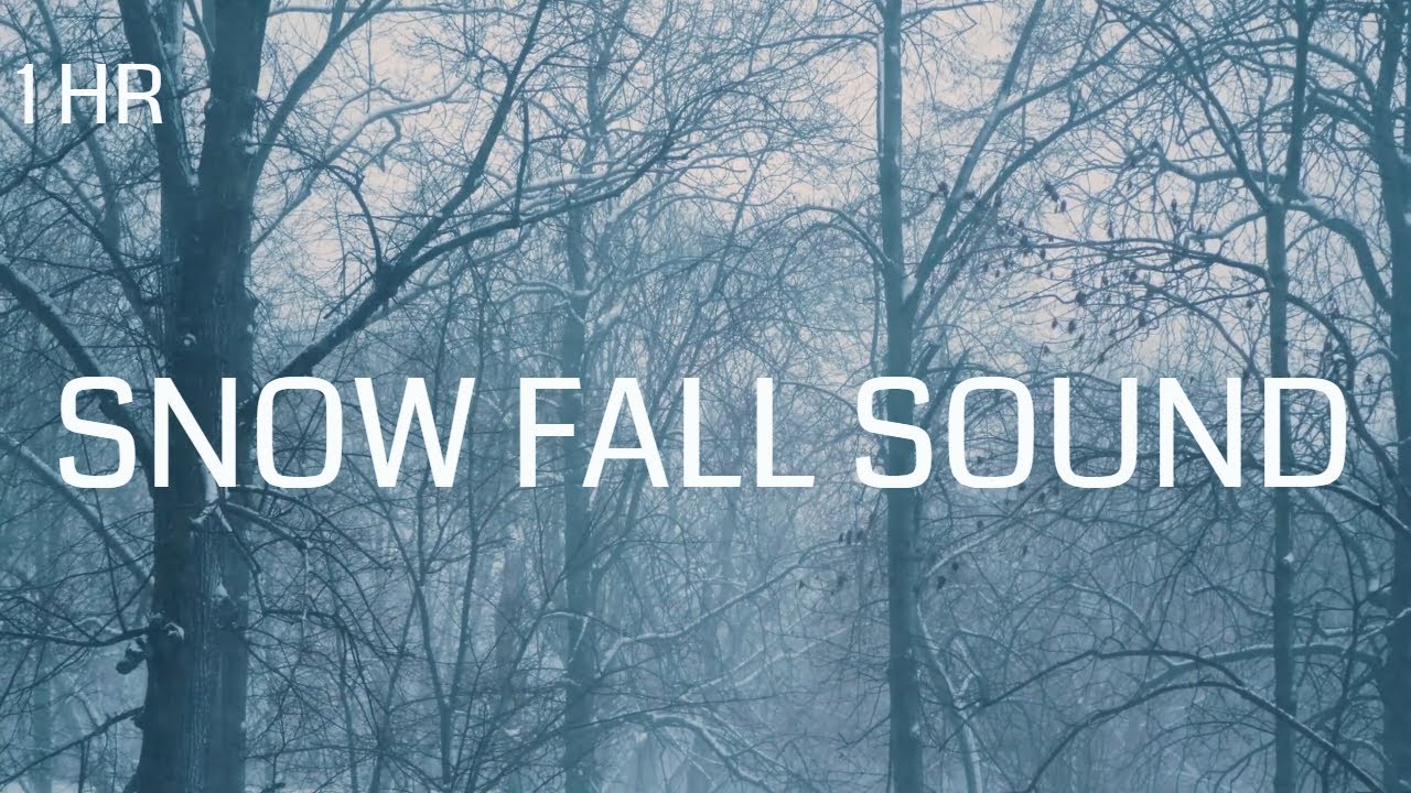 [1 Hour of Relaxing sound] of Snowfall - sound of wind and snow falling ...