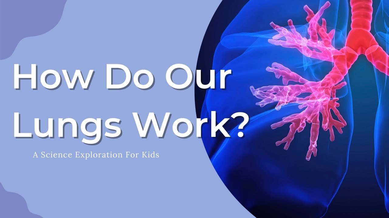 Science Experiments To Do With Kids: How Do We Breathe? - YouTube