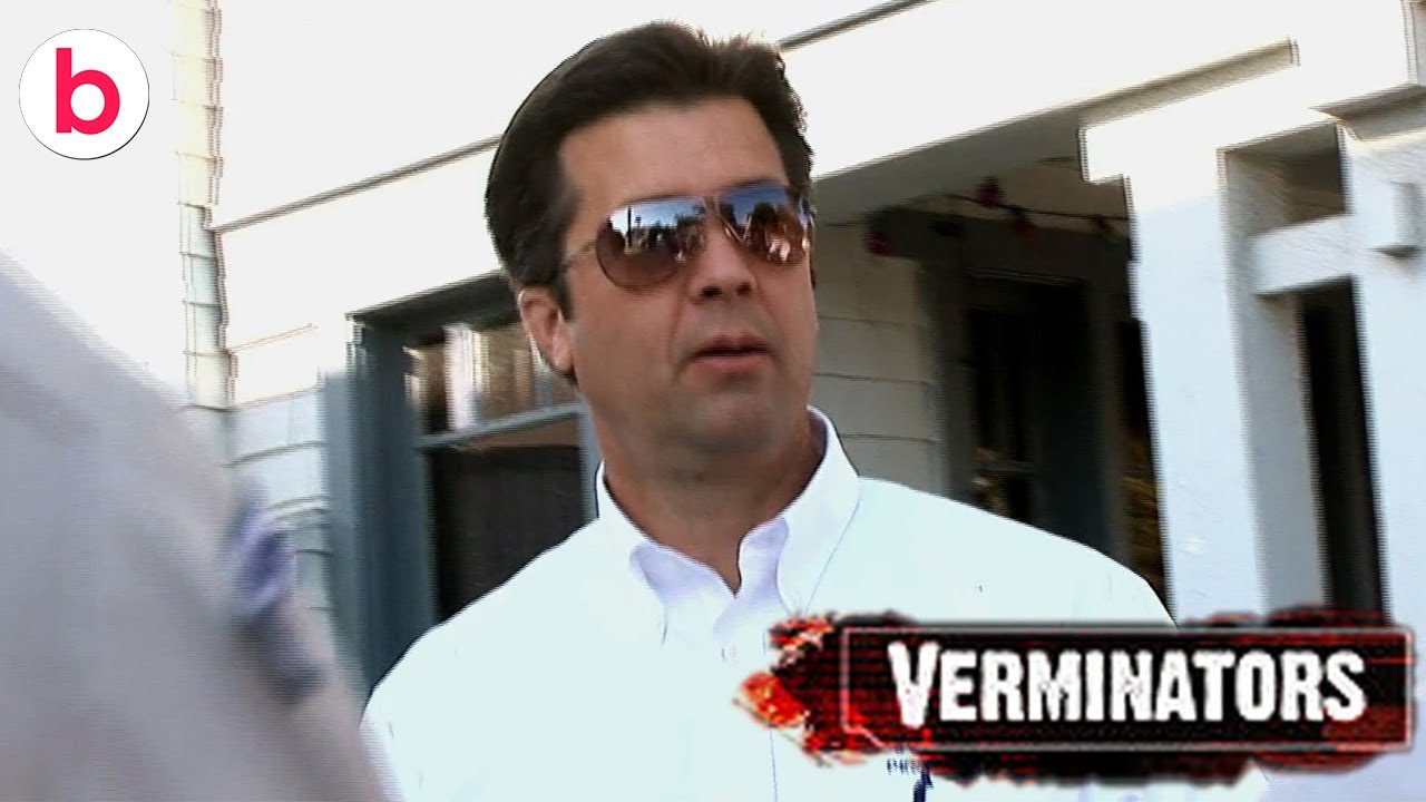 Verminators: Series 1 Episode 13 - YouTube