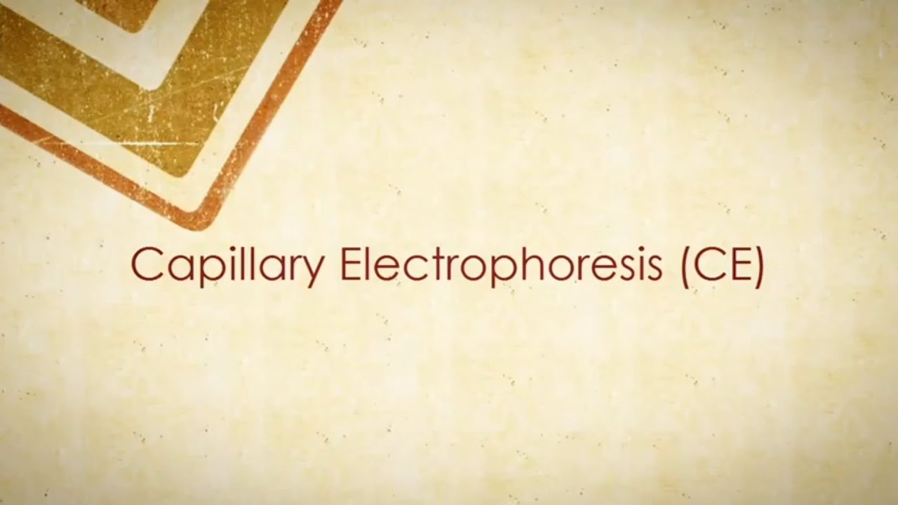 Capillary Electrophoresis (CE) || instrumentation of Capillary ...