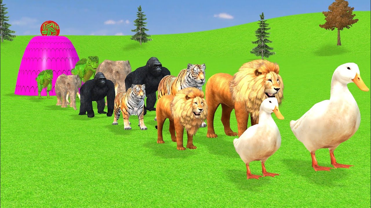 Long Slide Game With Cow Elephant Gorilla Hippopotamus Tiger 3d Animal ...