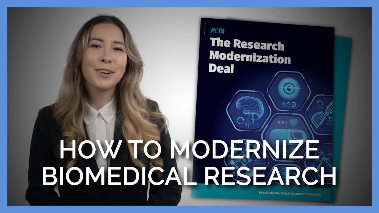 PETA’s Strategy to Modernize Biomedical Research - YouTube