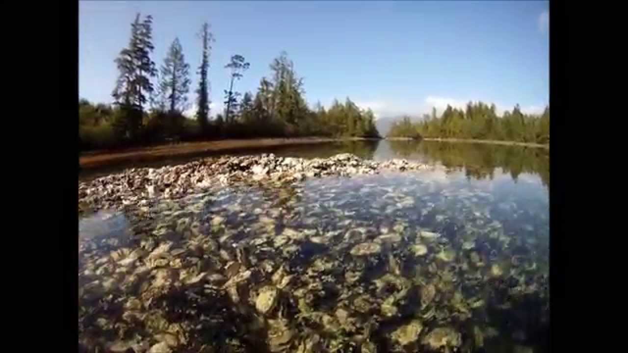 Toquaht Bay Kayaking - YouTube