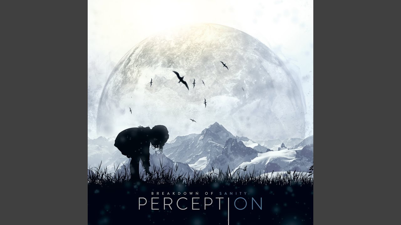 Perception - YouTube Music
