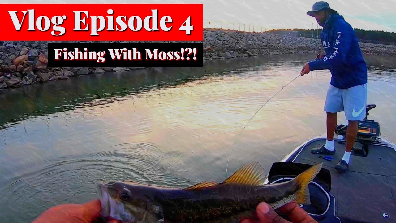1200 Fishing: Vlog Episode 4 (Fishing With Randy Moss!?!) - YouTube