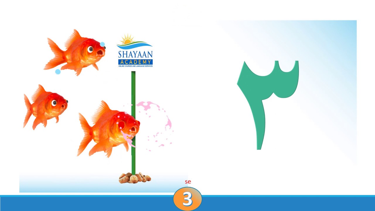 Numbers in Dariاعداد به زبان دری - YouTube